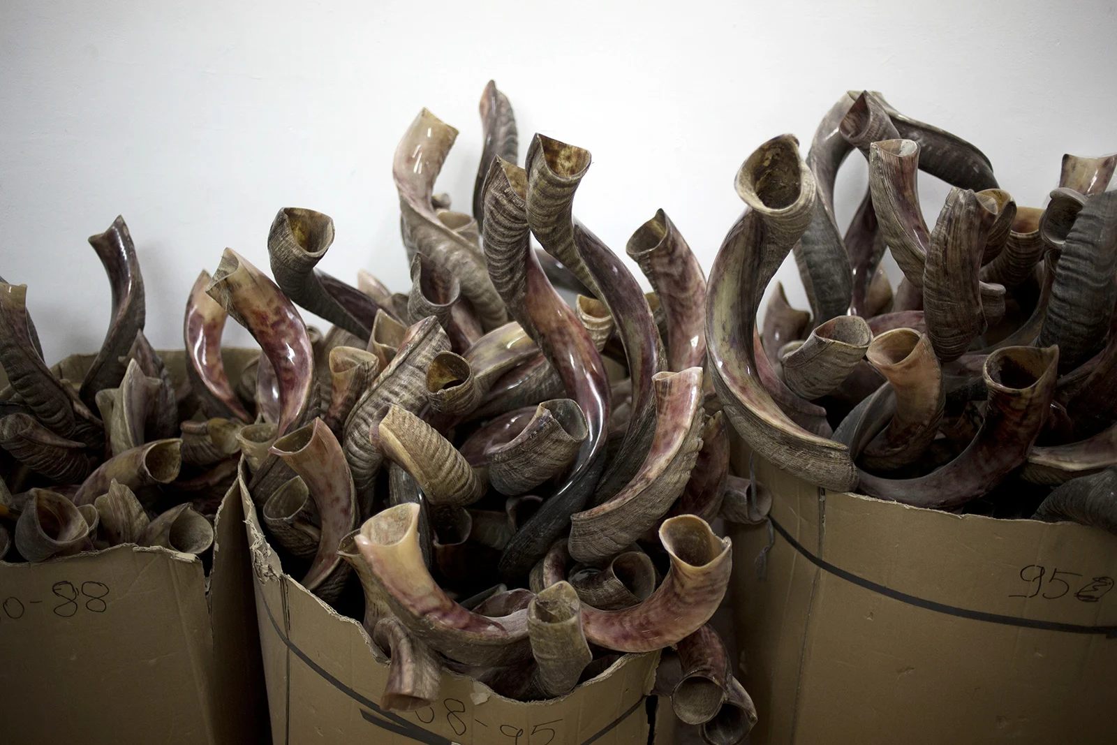 Why America Needs the Shofar - Interfaith America